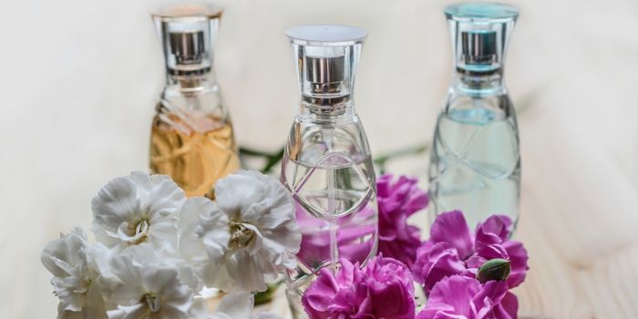 Store perfume in the refrigerator: This is how you properly preserve f